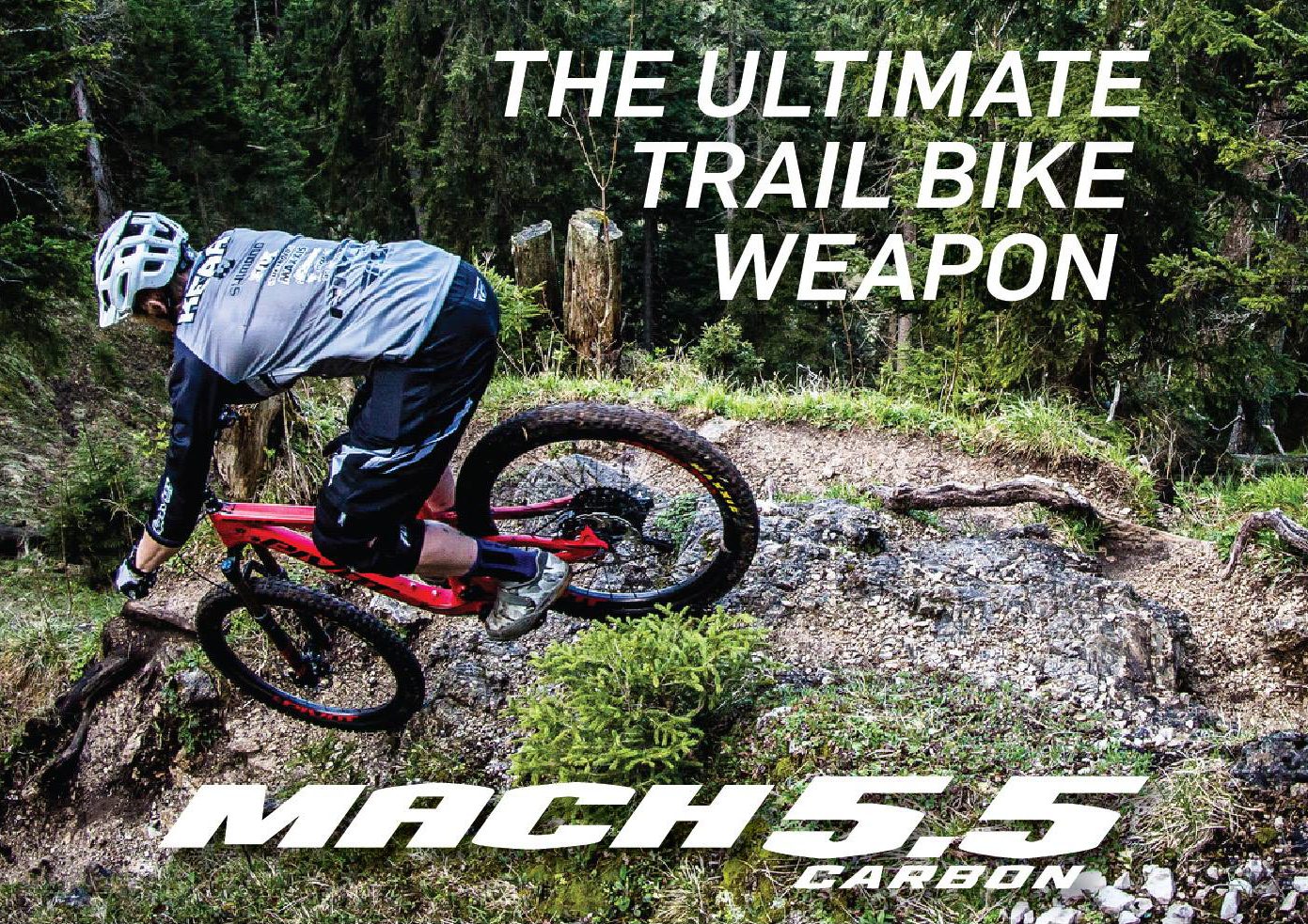 Les Fat | Galactic Bikes